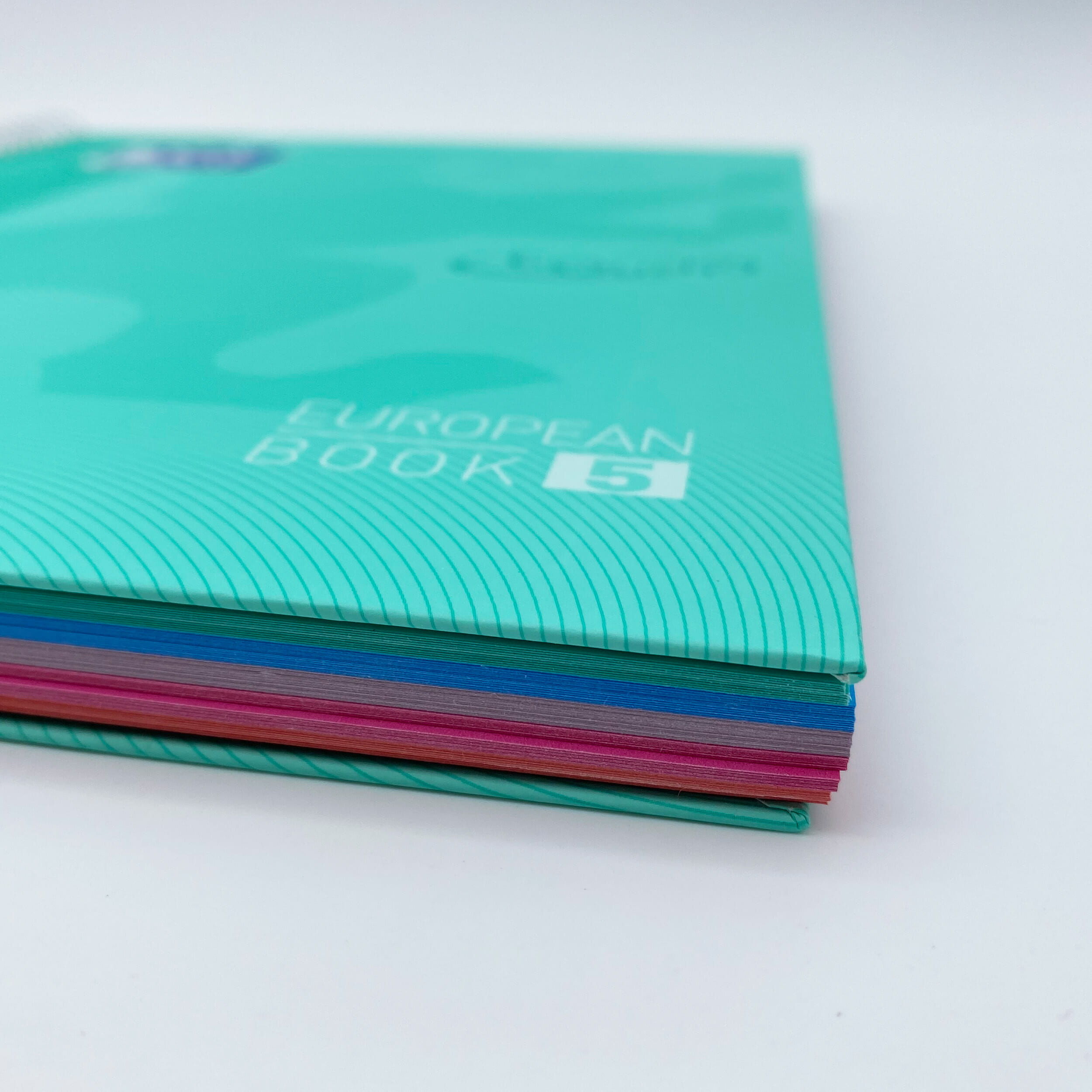 Oxford A4+ European Book 5 Hardcover Touch Geruit Pastel Groen ...