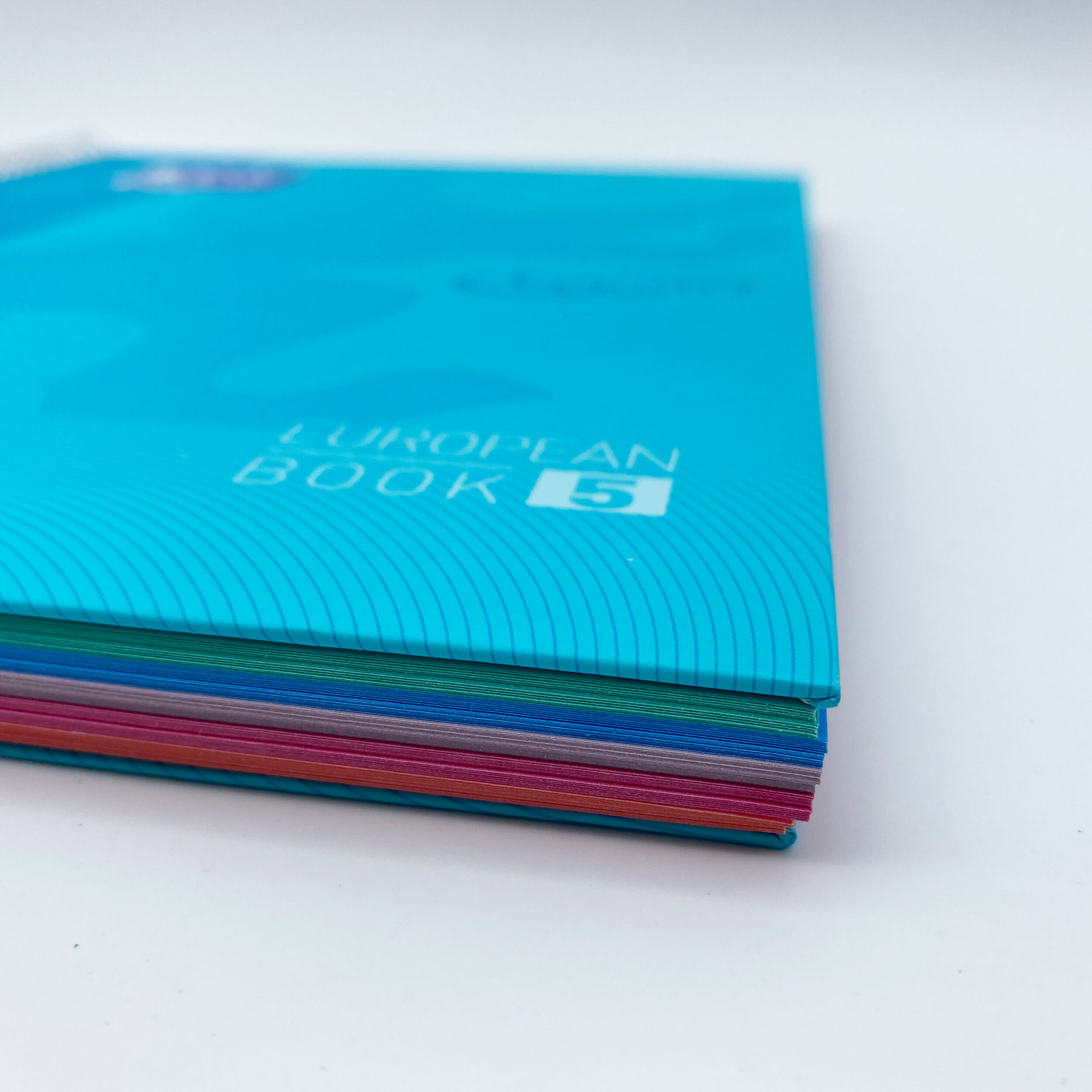 Oxford A4+ European Book 5 Hardcover Touch Geruit Pastel Blauw ...