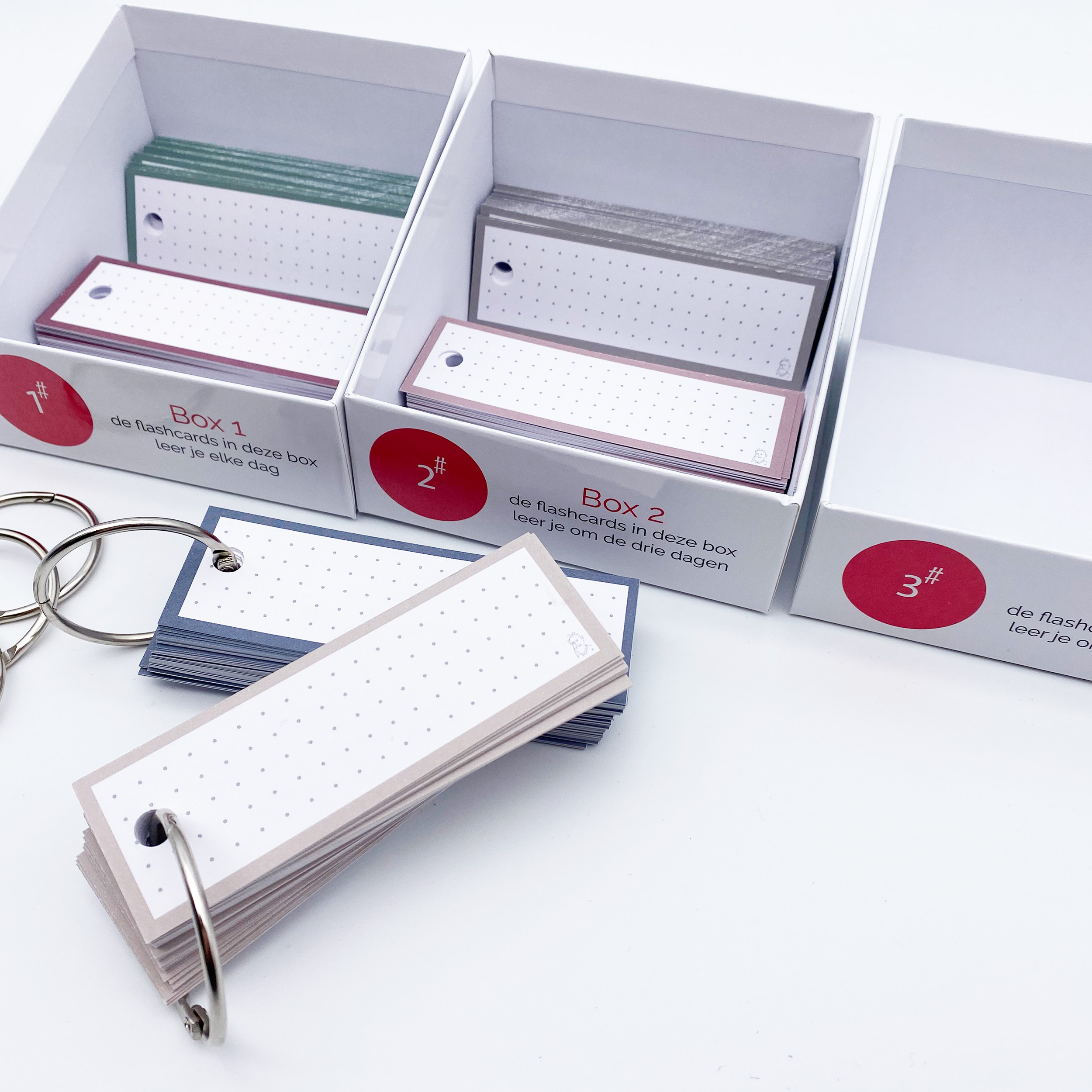 Leitner Flashcards Nature Dotted Pakket Half - 6 pakjes 10% Sale