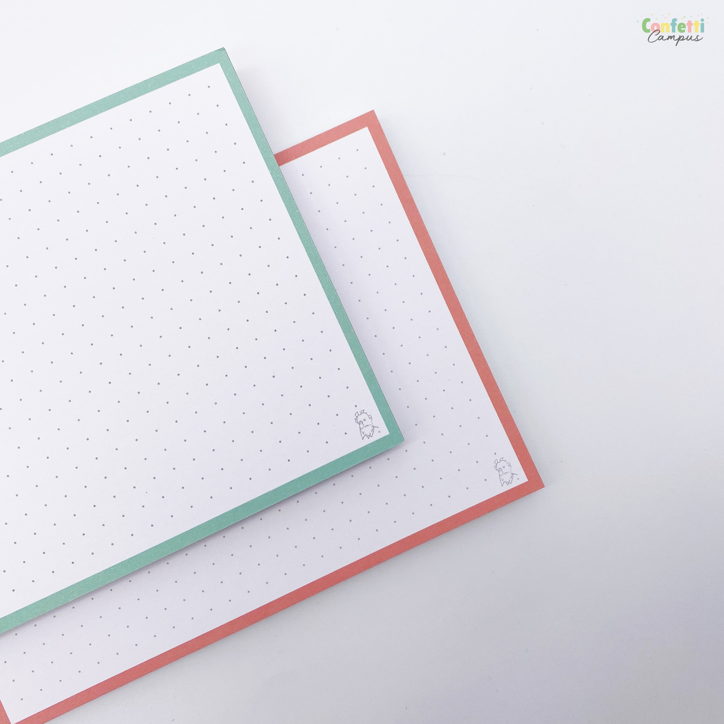 Leitner Flashcards A6 Duo Dotted Mint-Peach Icetea - Confetti Campus