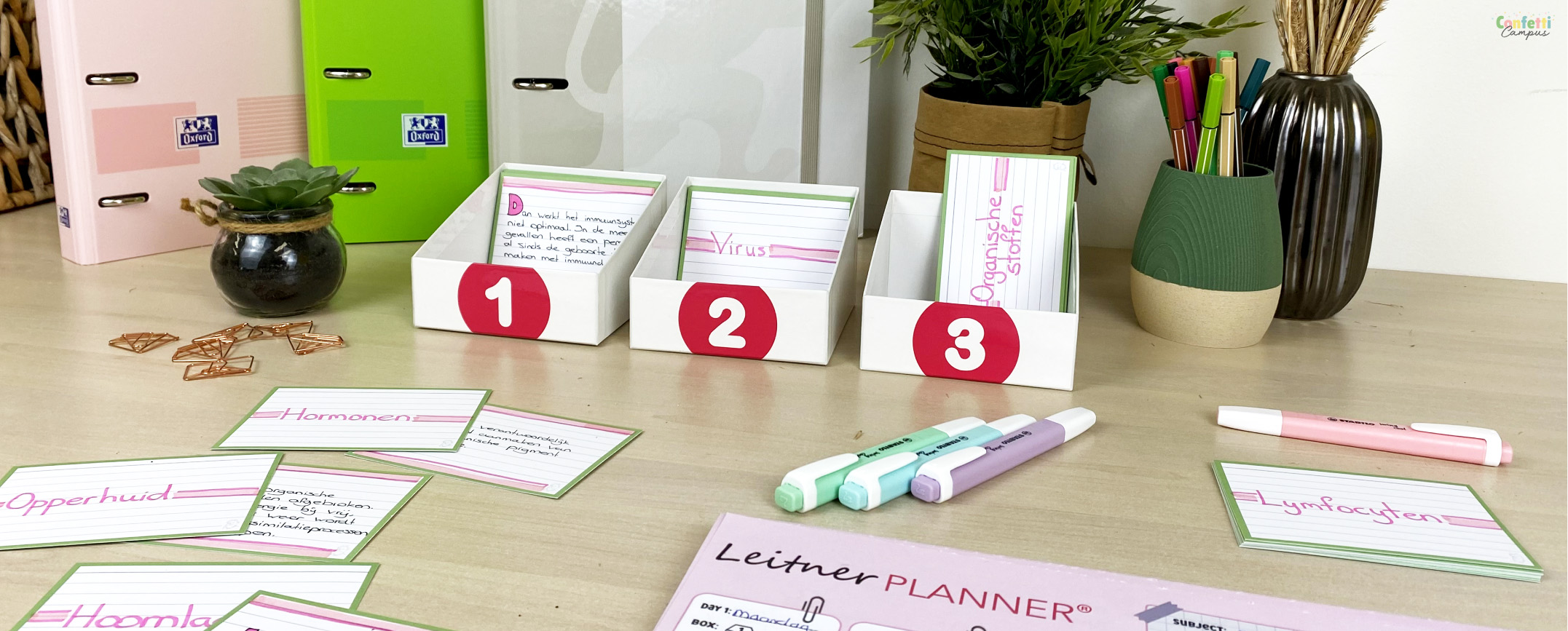 Leitner Boxen set van 3 - Leitner Systeem boxjes Confetti Campus