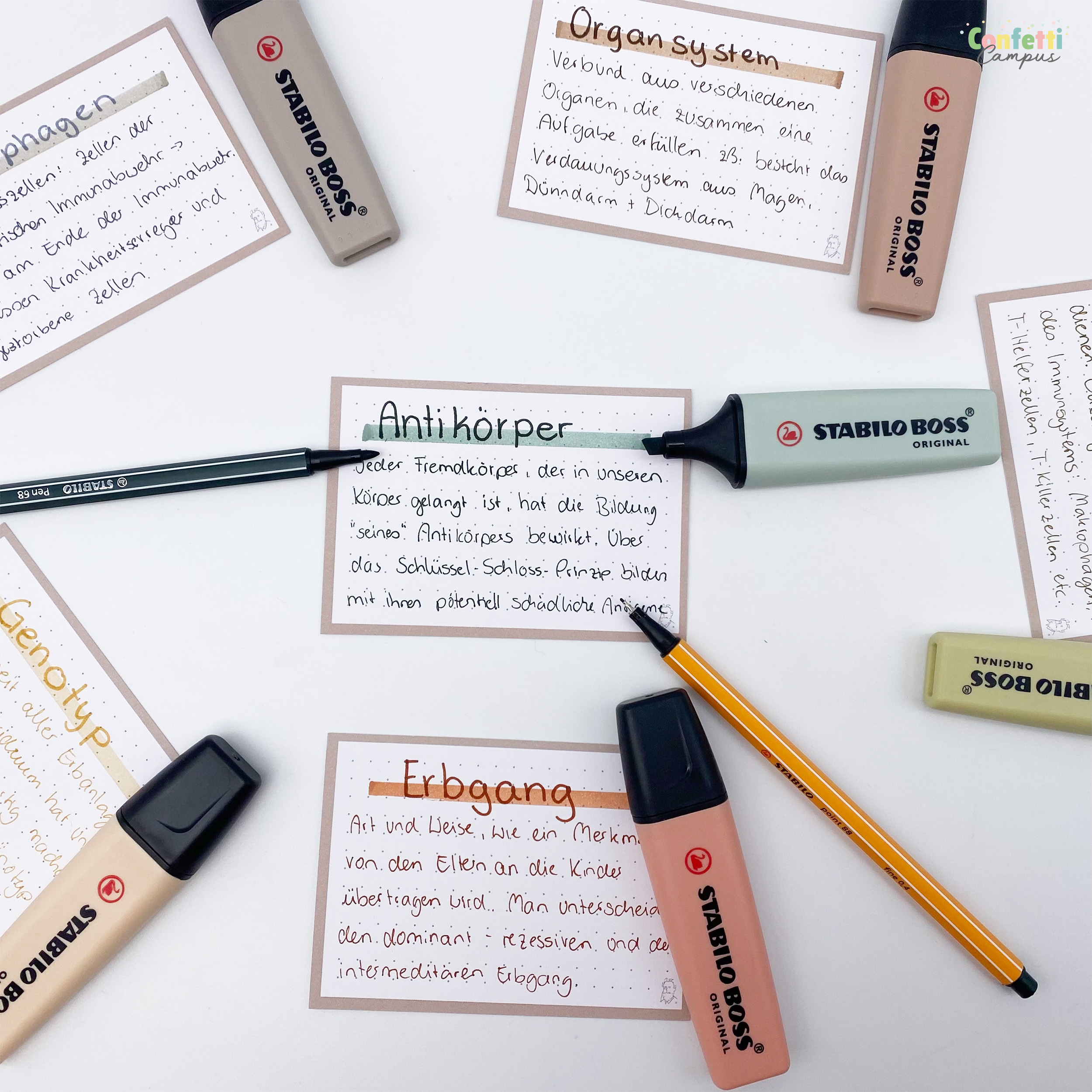Pretty Notes & Flashcards Nature - Compleet pakket 10% sale