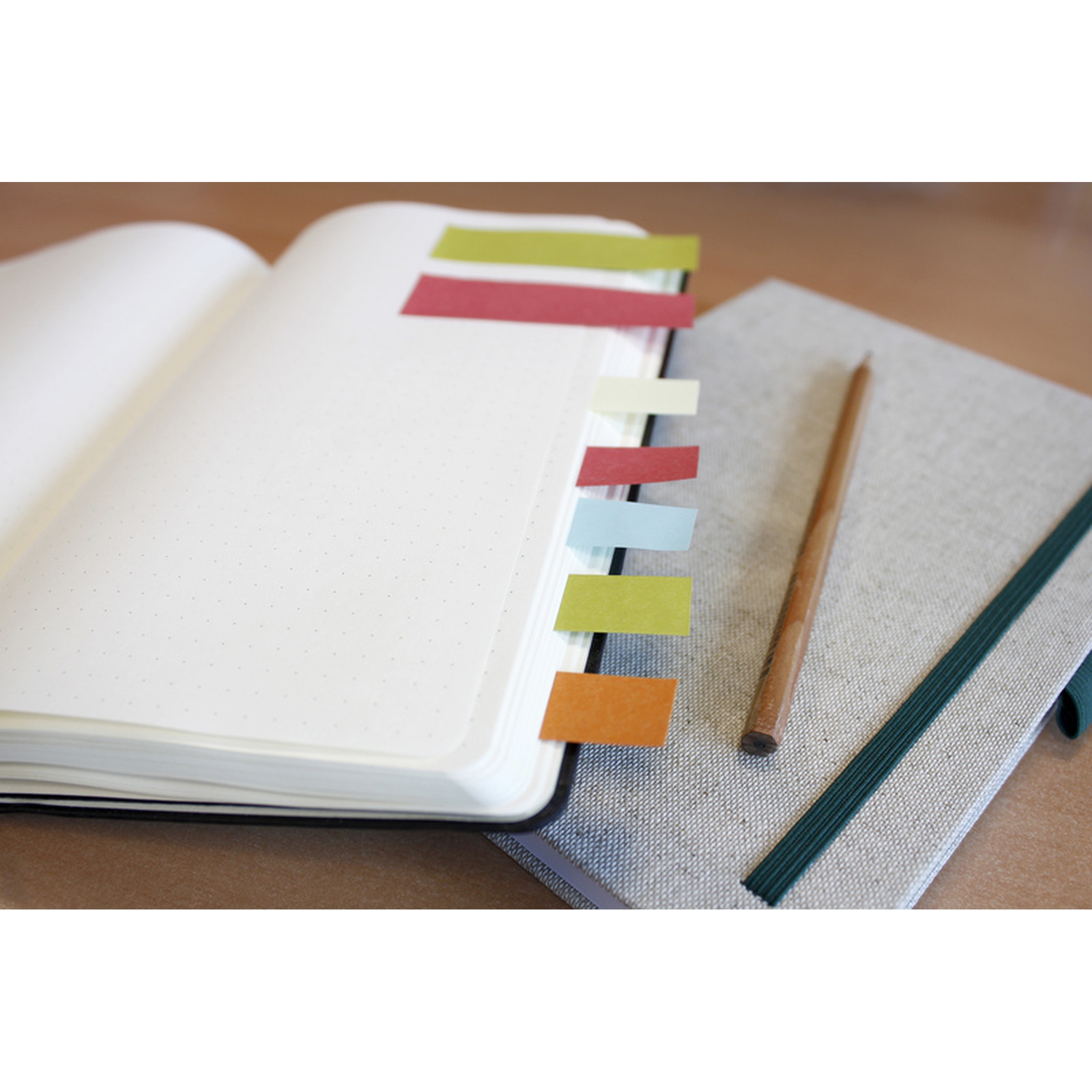 Info Notes Sticky Tabs 10 kleuren