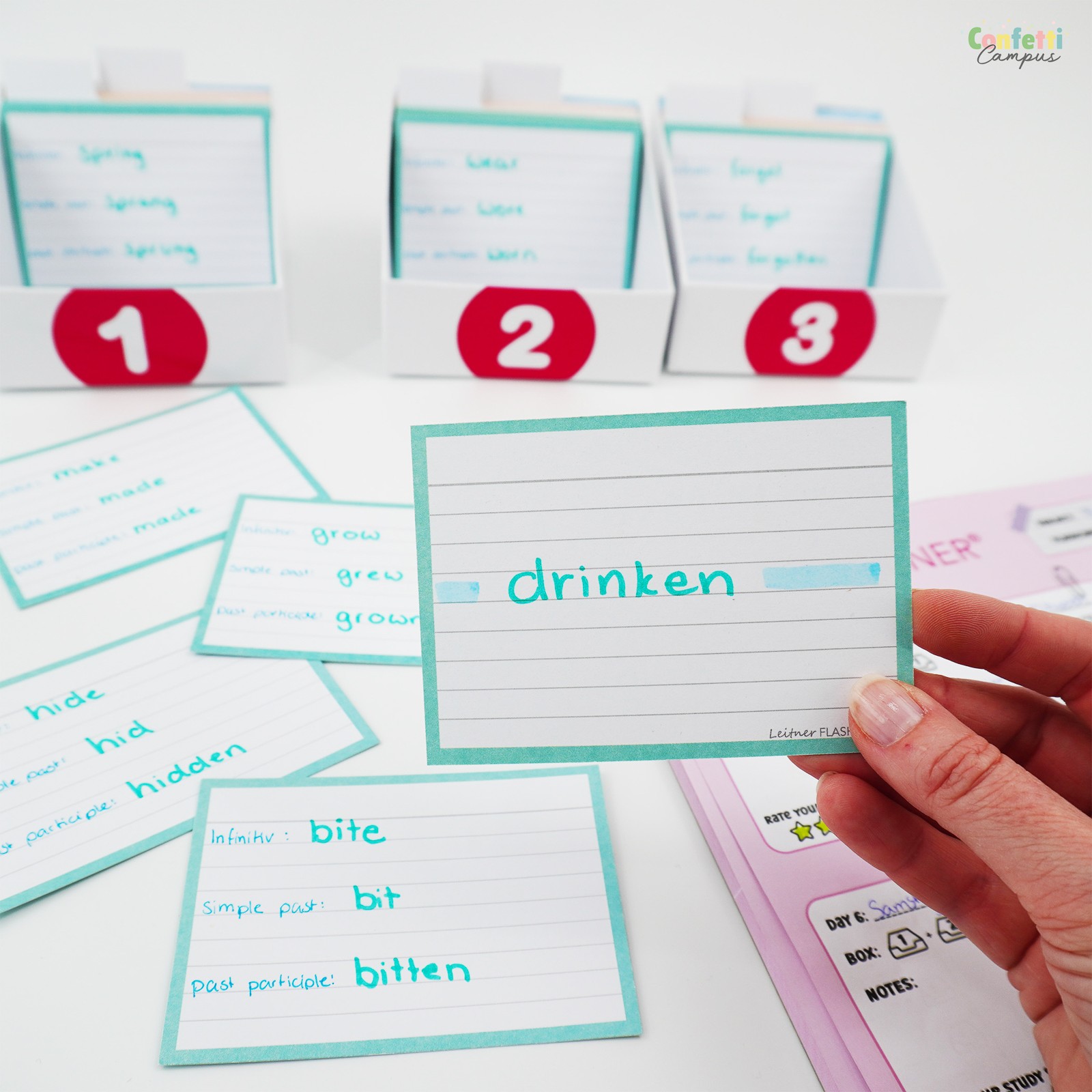 Leitner Flashcards Pakket A7 Gelinieerd Pastel 300 stuks - Confetti Campus