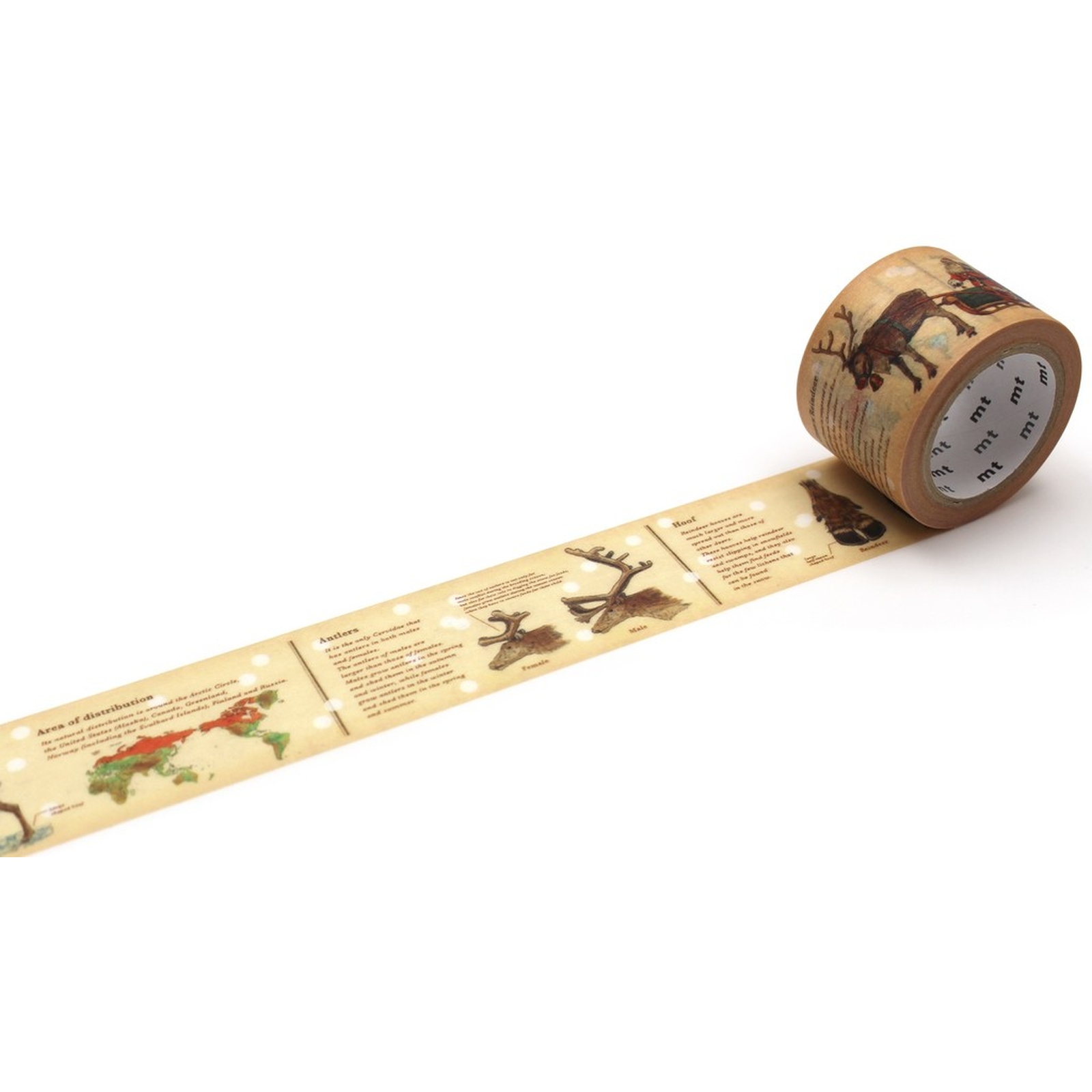MT Washi Tape ex Encyclopedia Reindeer - Confetti Campus